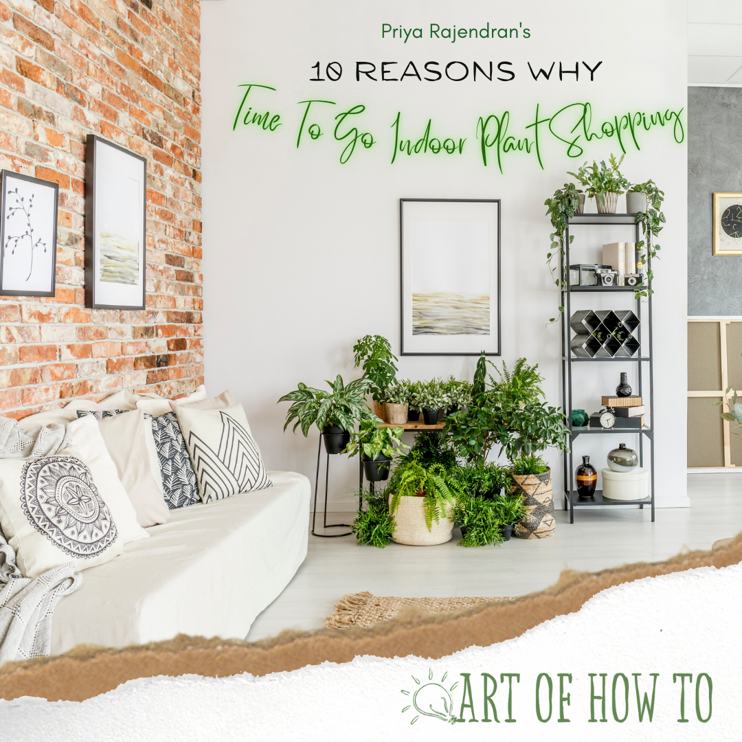 Time To Go Indoor Plant Shopping | Art of How To