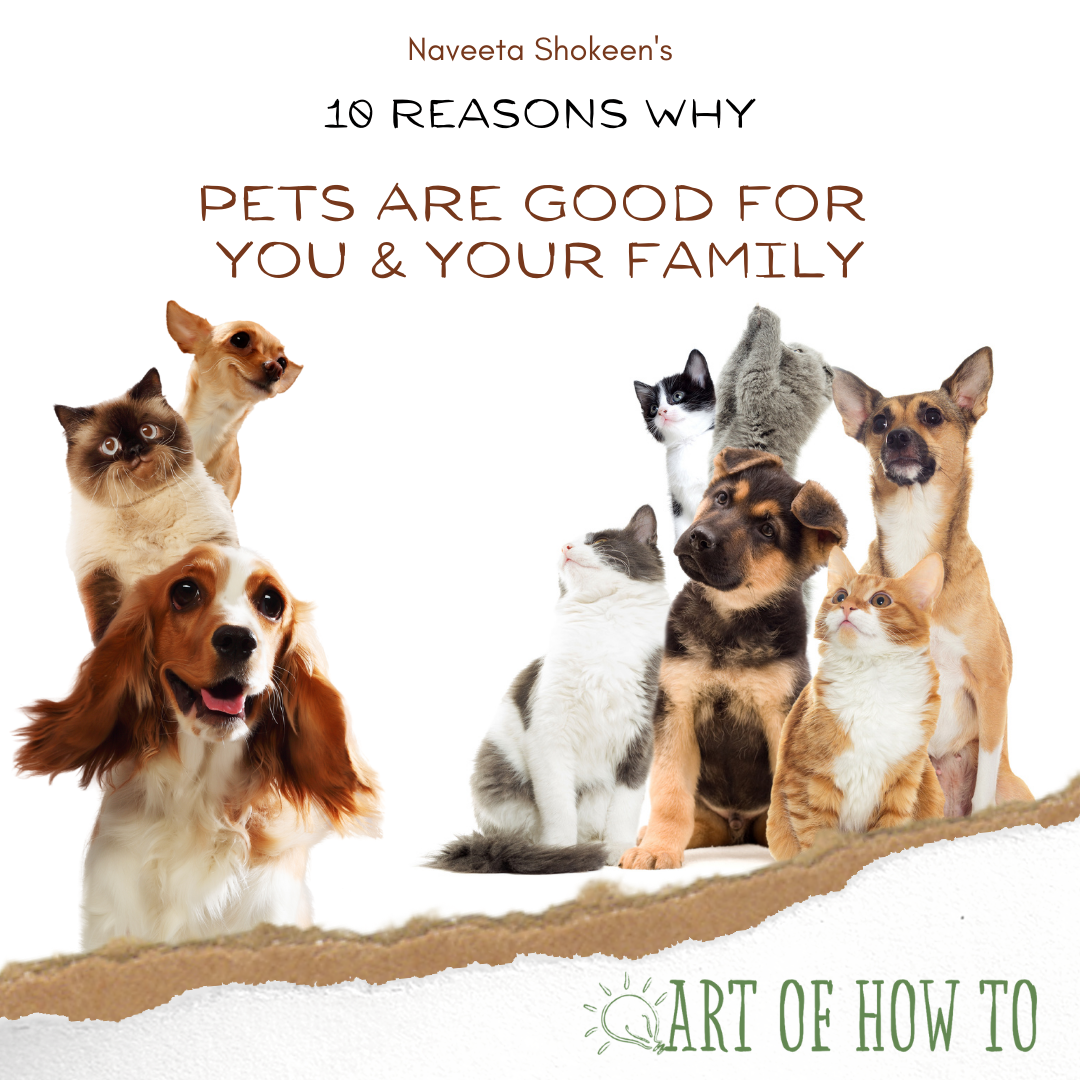 Pets Are Good For You And Your Family | Art of How To